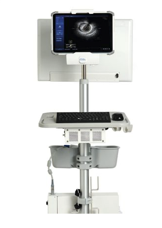IVUS:Intravascular Ultrasound(血管内超音波) | me