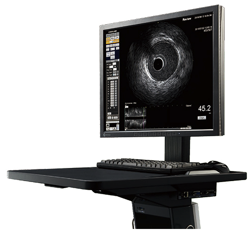 IVUS:Intravascular Ultrasound(血管内超音波) | me