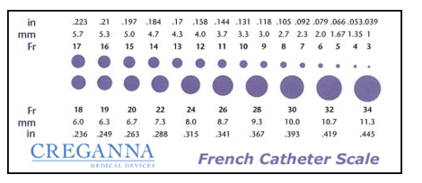French catheter scale | me